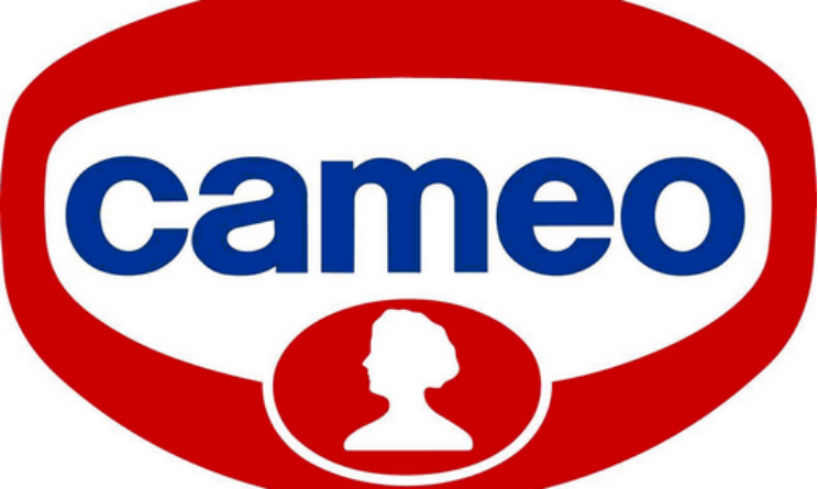 Cameo lavora con noi 2015: ecco le ultime posizioni aperte - UrbanPost