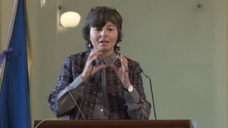 Maria Chiara Carrozza chi è vita privata e carriera del nuovo ...